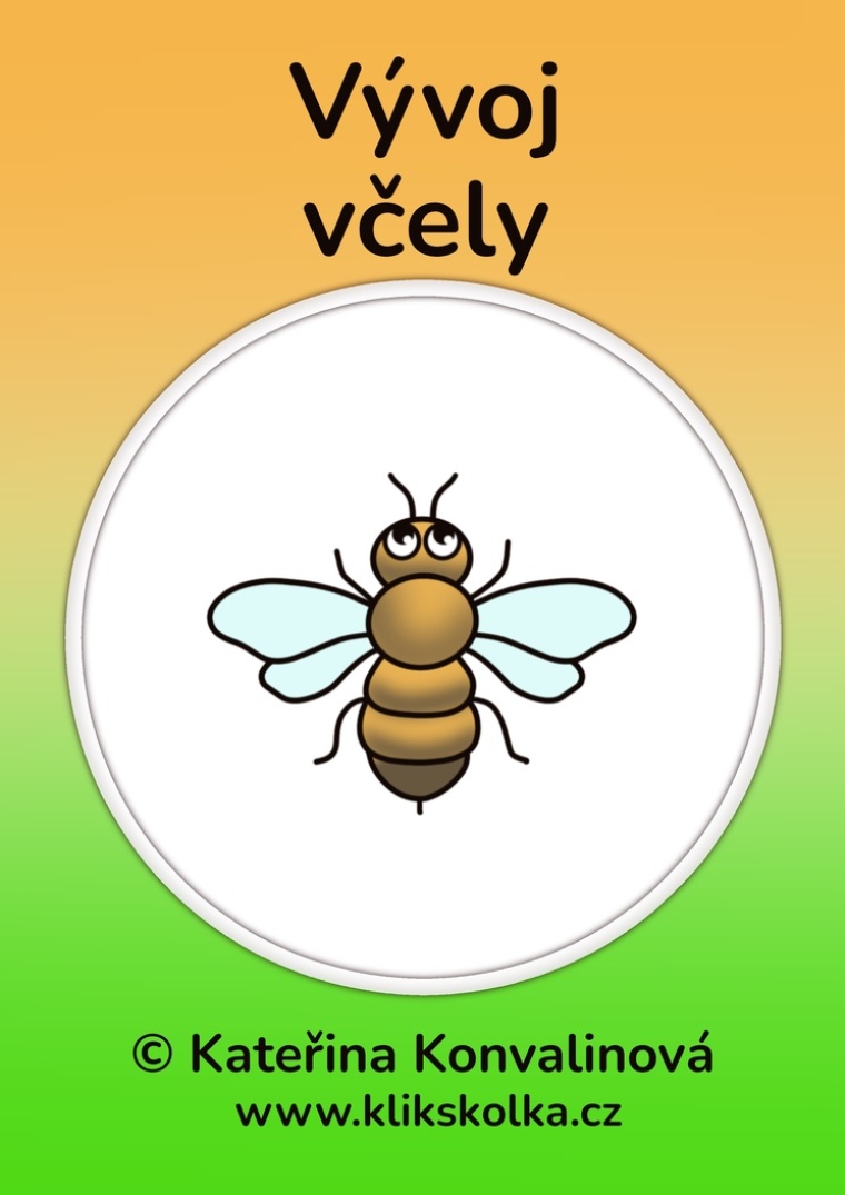 Vývoj včely